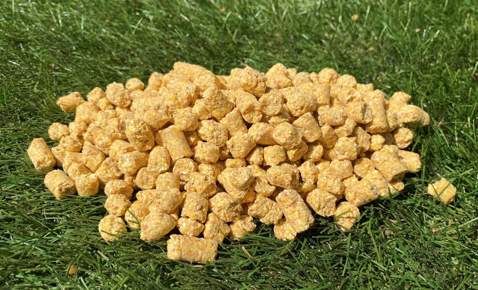 Baby Corn Pellets 8 mm 5kg | Snel geleverd | Karper XXL